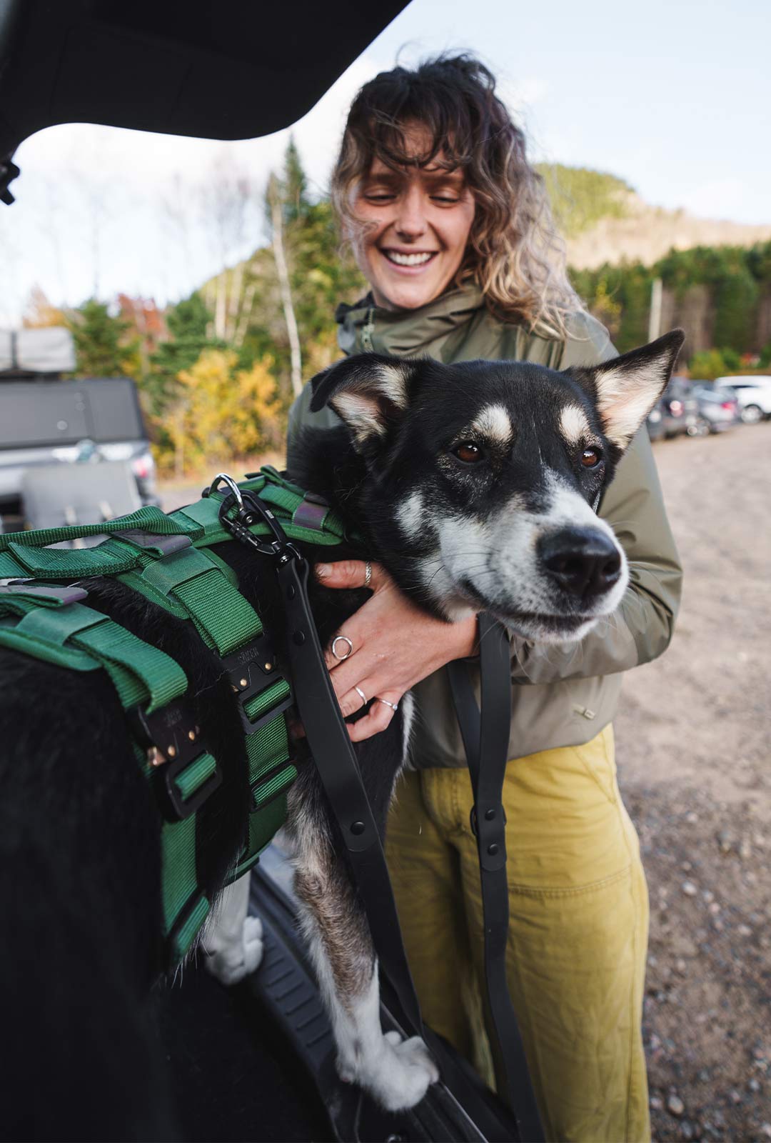 Hiking Dog gear | Säker