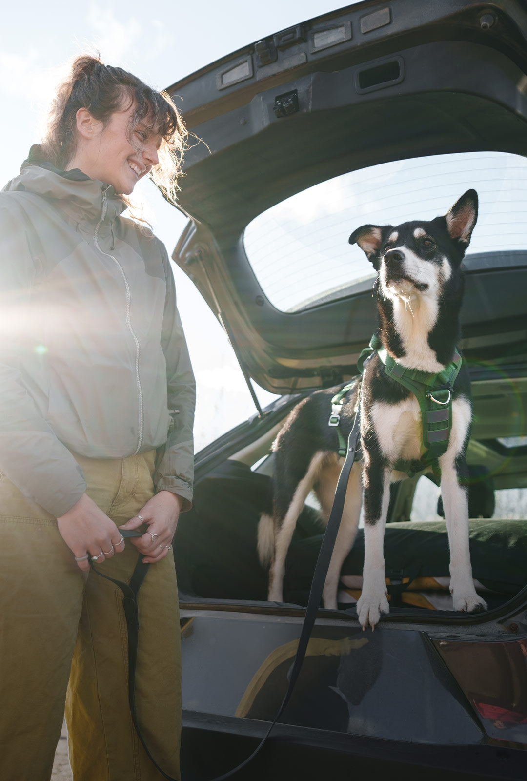 Hiking Dog gear | Säker