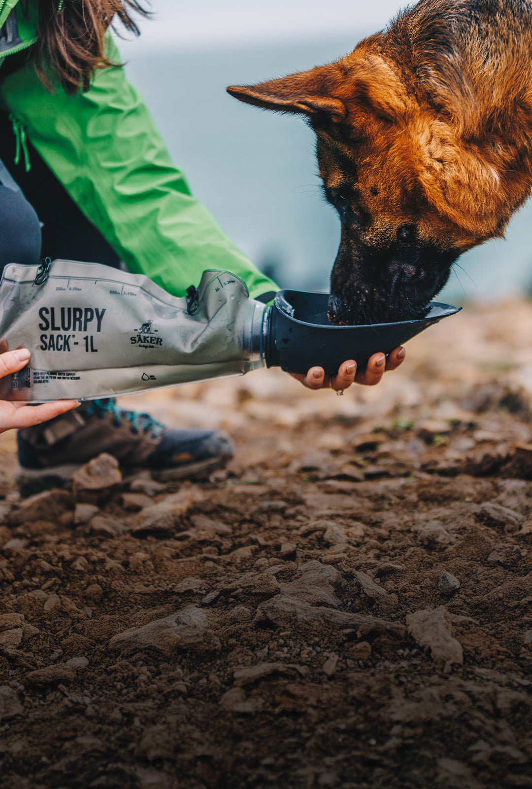 Hiking Dog Gear | Säker