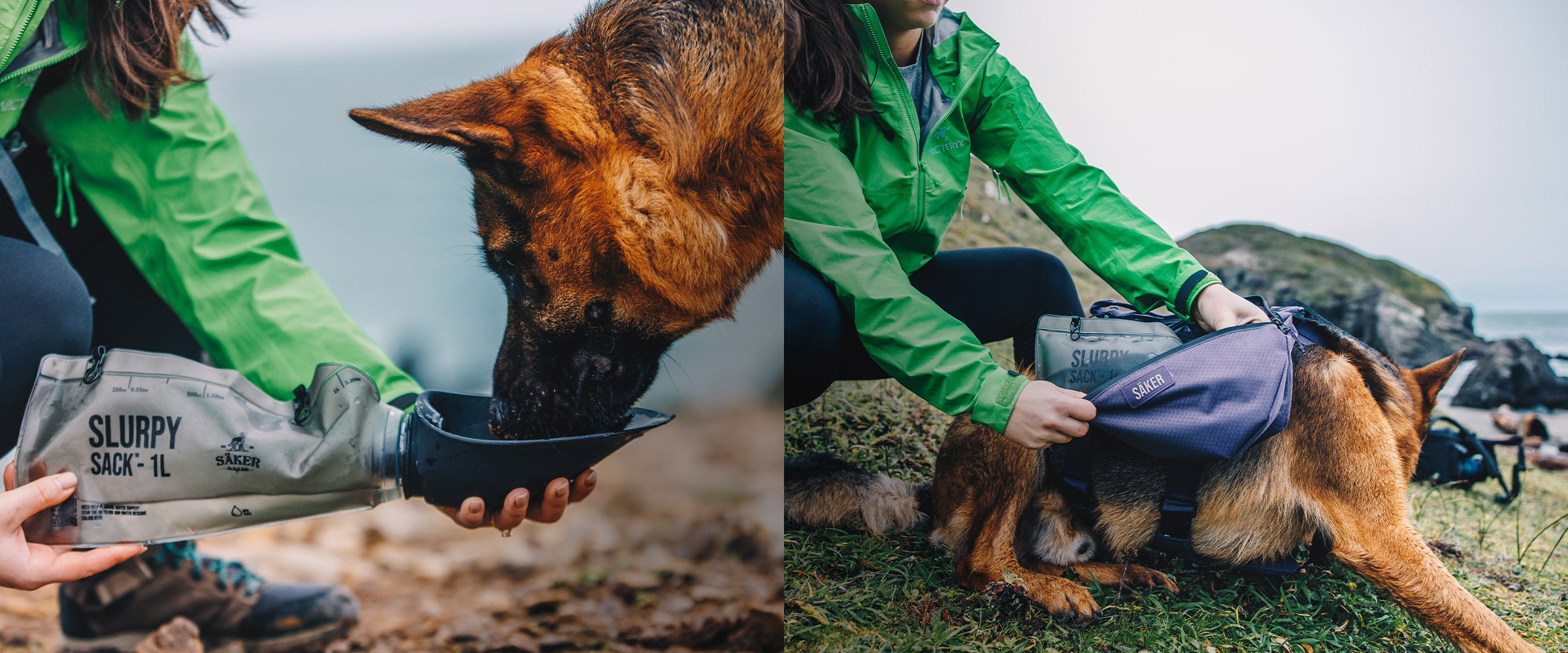 Hiking Dog Gear | Säker