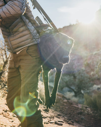 Hiking Dog gear | Säker
