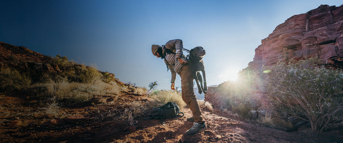 Hiking Dog Gear | Säker