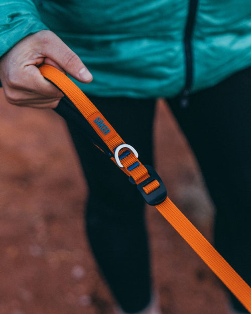 Hiking Dog Gear | Säker