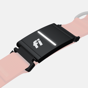 Fi Tracker Series 3 mount