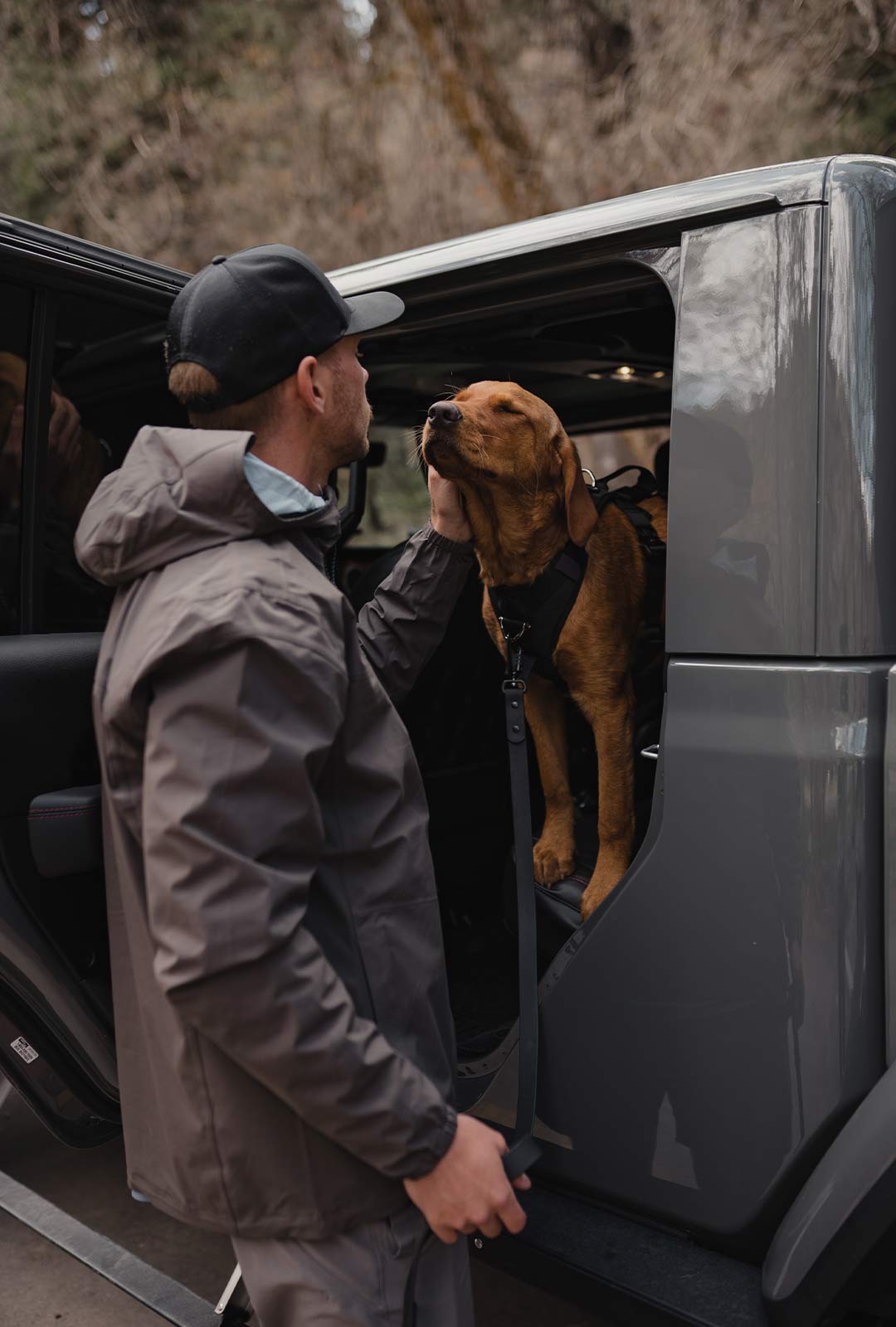 Hiking Dog gear | Säker