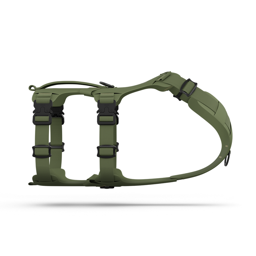 Hiking Dog Gear | Säker