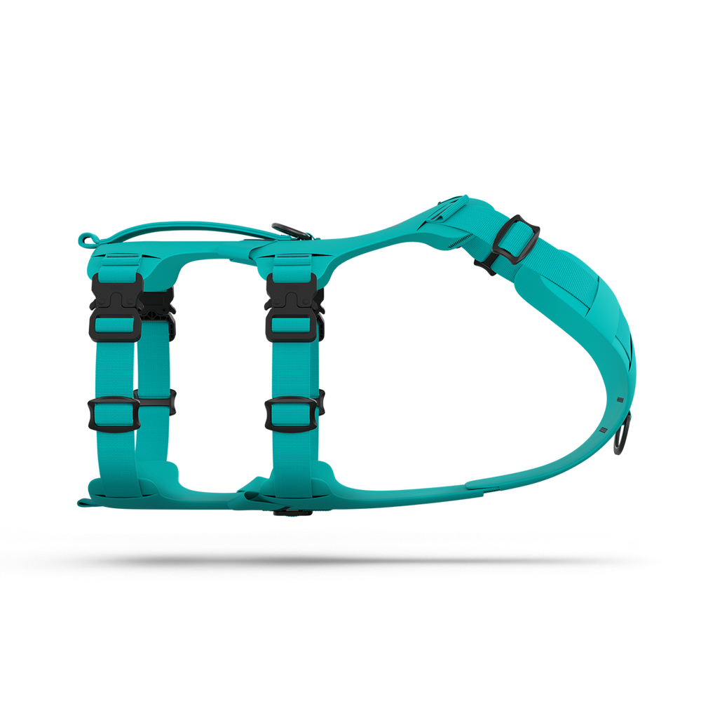 Muse™ harness - Private