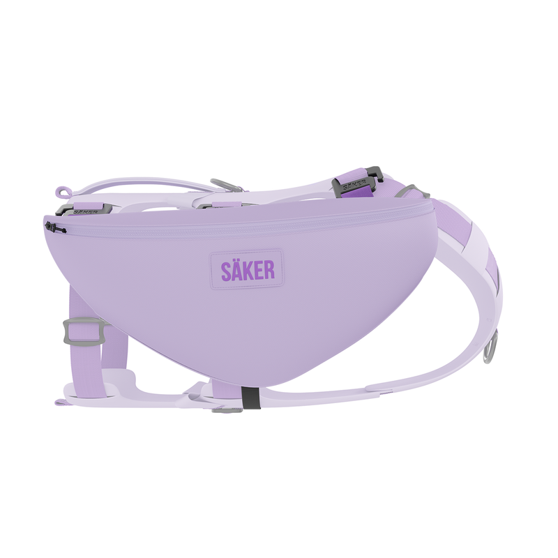 Hiking Dog Gear | Säker
