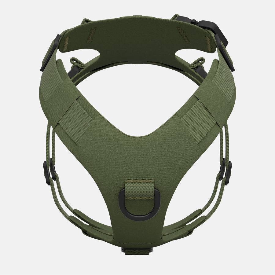 Muse™ harness